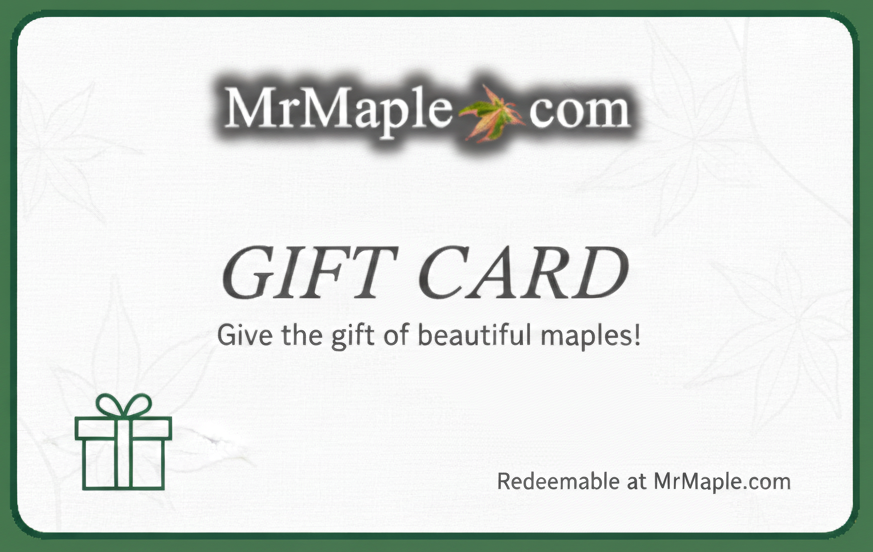 Buy Gift Card For MrMaple.com — Mr Maple │ Buy Japanese Maple Trees