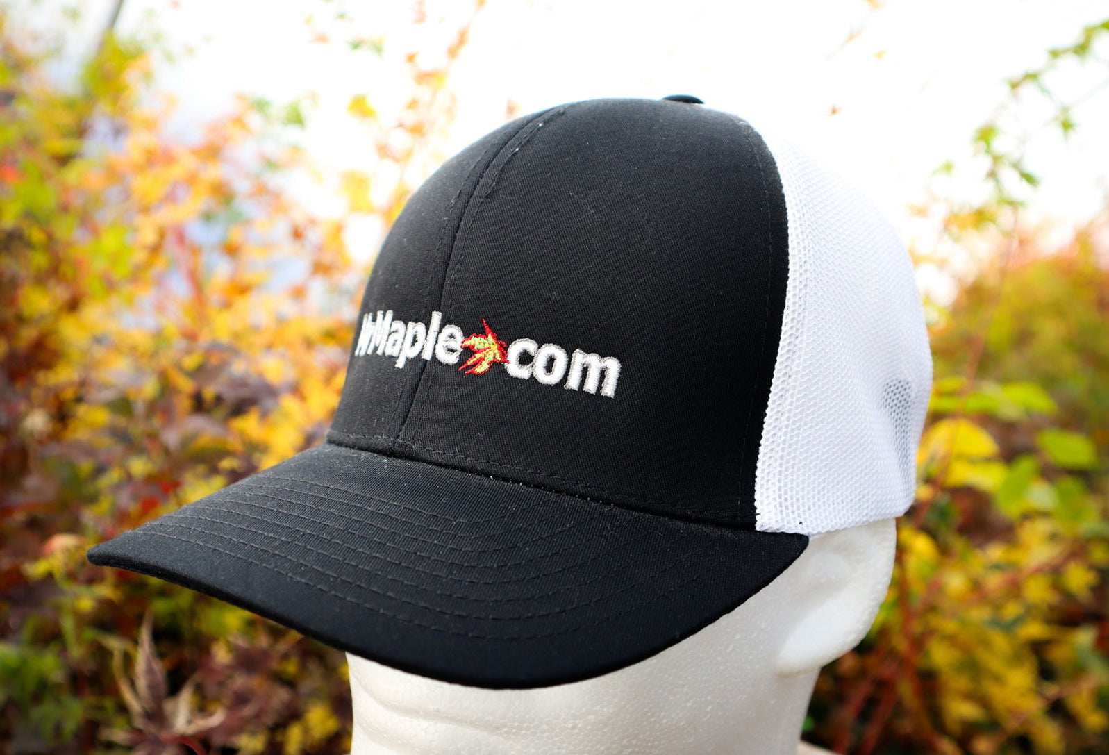 Merch Mondays — Mr Maple │ Buy Japanese Maple Trees